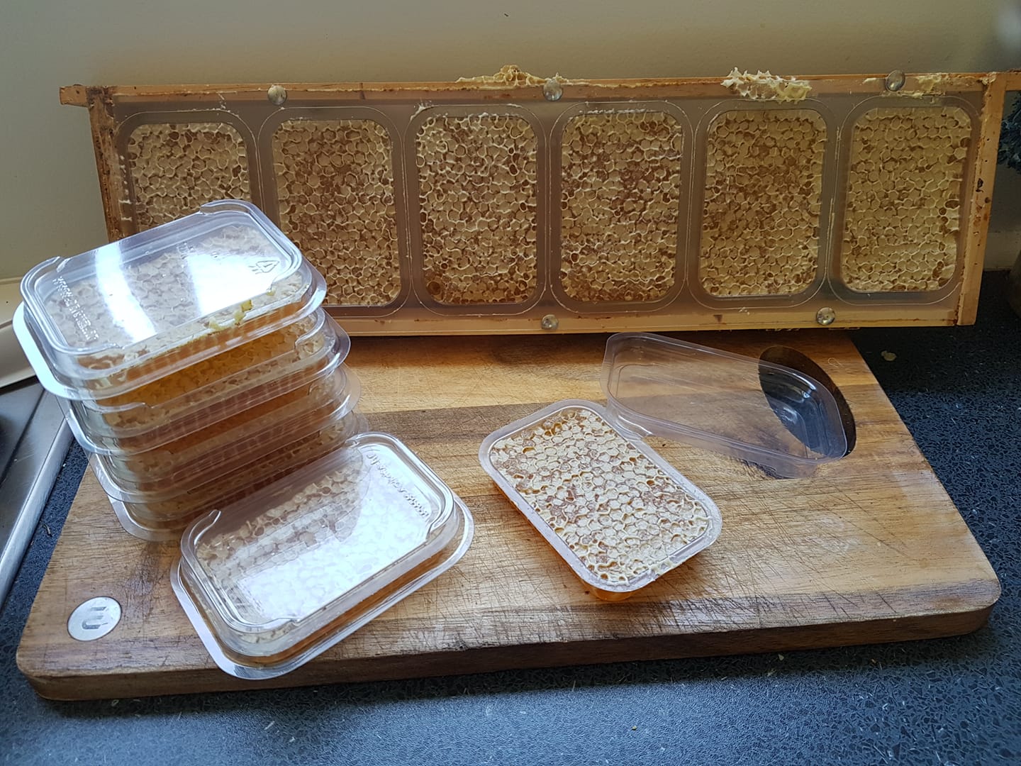 Apibox Maxi Comb Honey System - Hive World