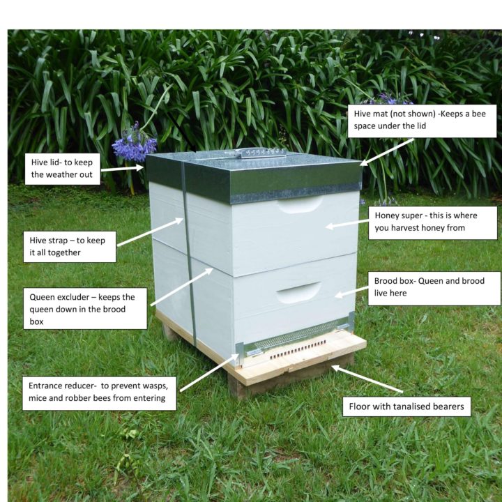 Beehive starter package - Hive World - Beekeeping Beginners Kit