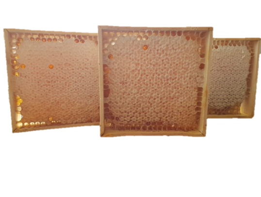 English Comb Honey Sections - Hive World - Wooden Comb Sections