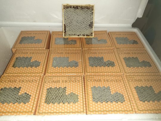 Section Rack complete - Hive World - Comb Honey Section Rack Package