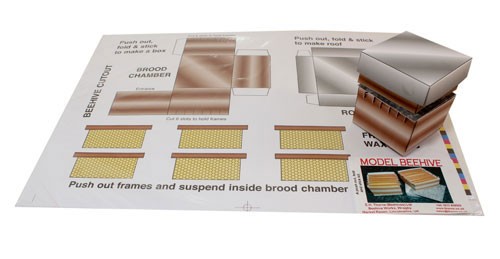 Cardboard Model Hive - Hive World- Push out, Fold and Stick Kit