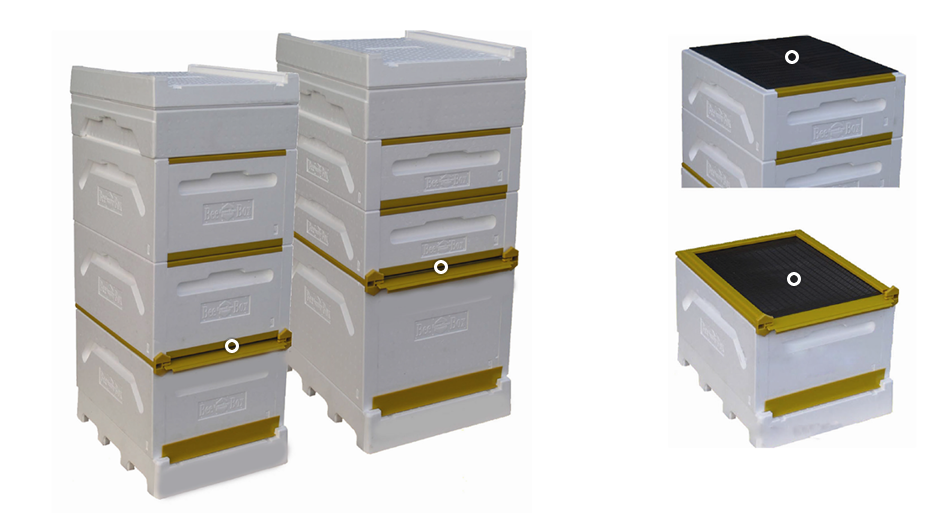 Paradise Queen Trap System - Hive World- Helps prevent swarms