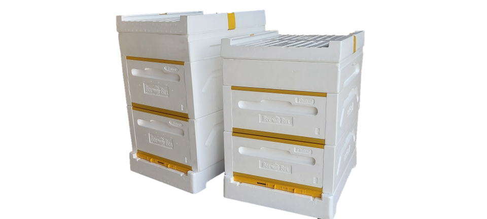 Complete Paradise 10-Frame Hive - Hive World - complete with top feeder