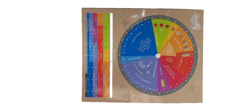 Hambly Queen Dial - Hive World - Queen Rearing Timing Dial