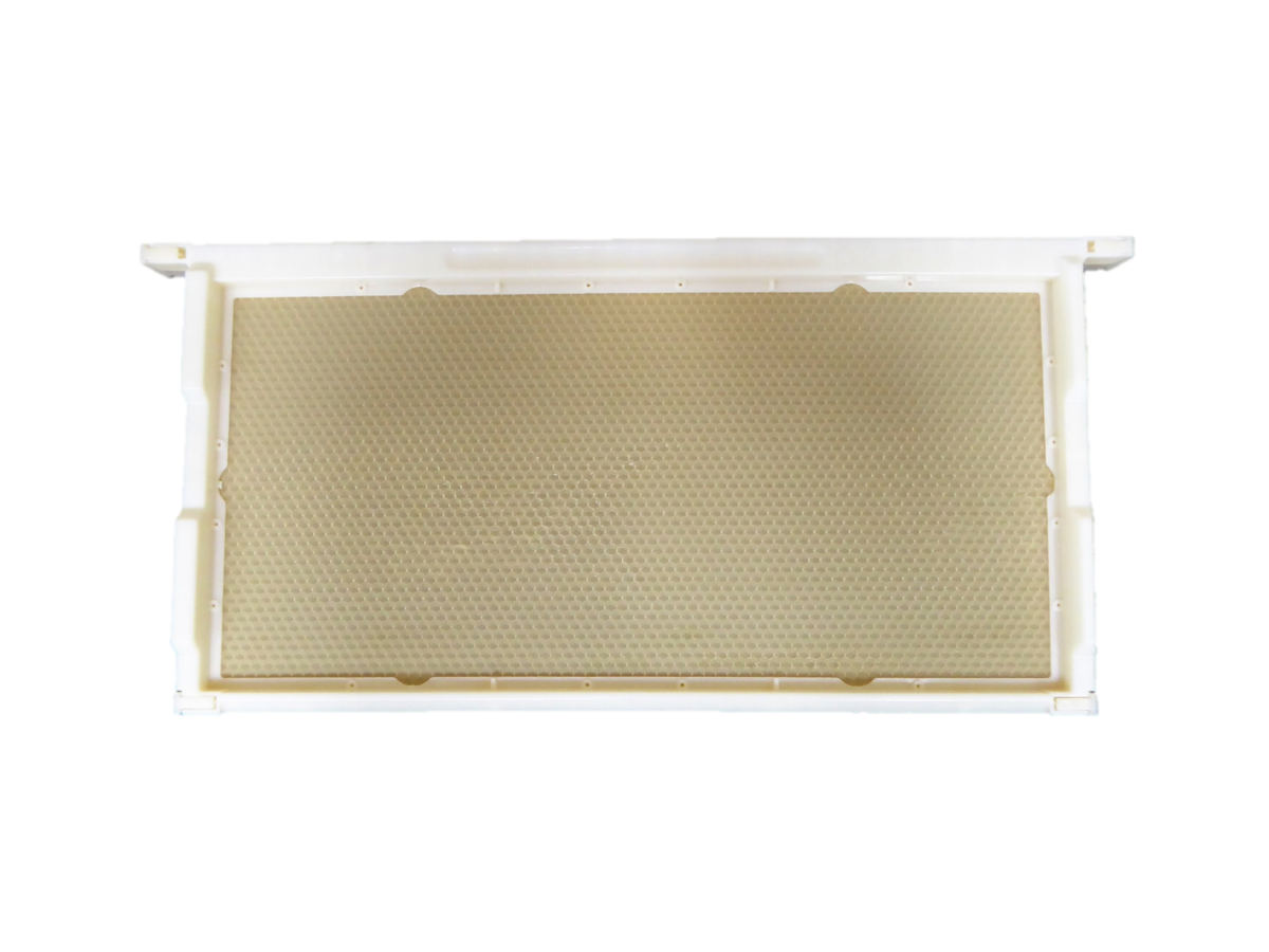 Comb Sections - Hive World