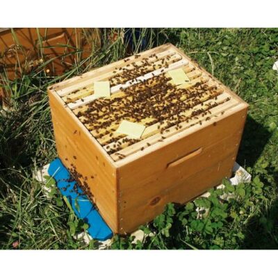 Thymovar Varroa treatment - Hive World