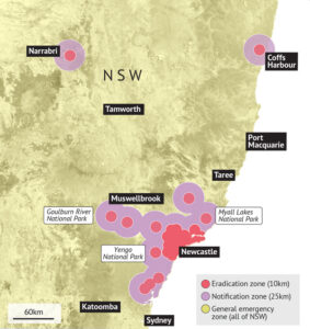 Varroa mites in Australia - Hive World